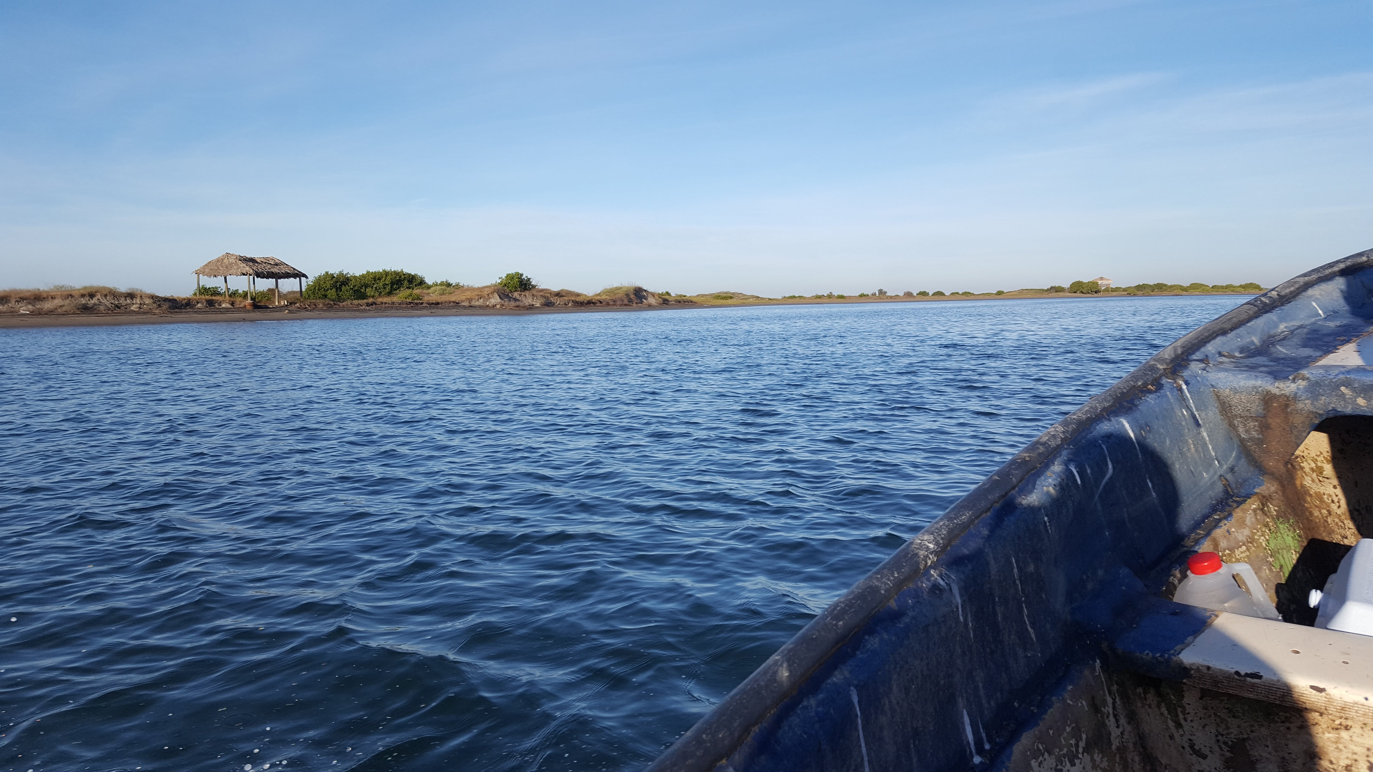 A mis padres – Jesús Ruelas Journal